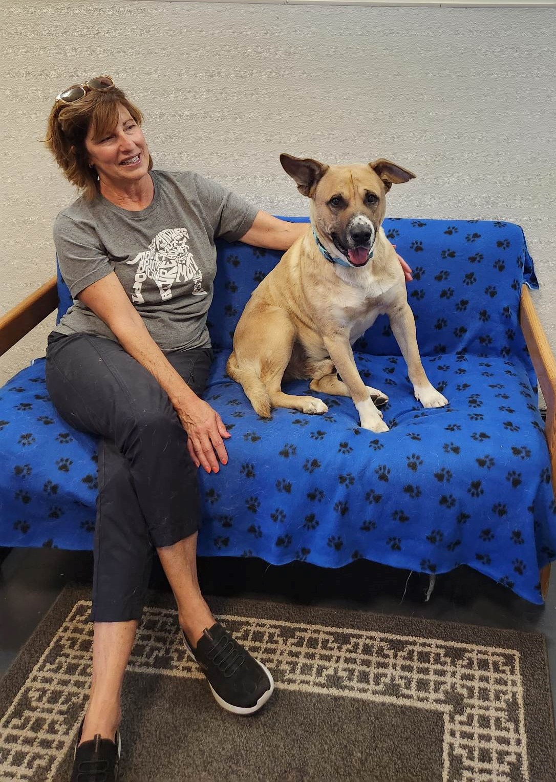 How You Can Help – TUCSON RESCUE NOW